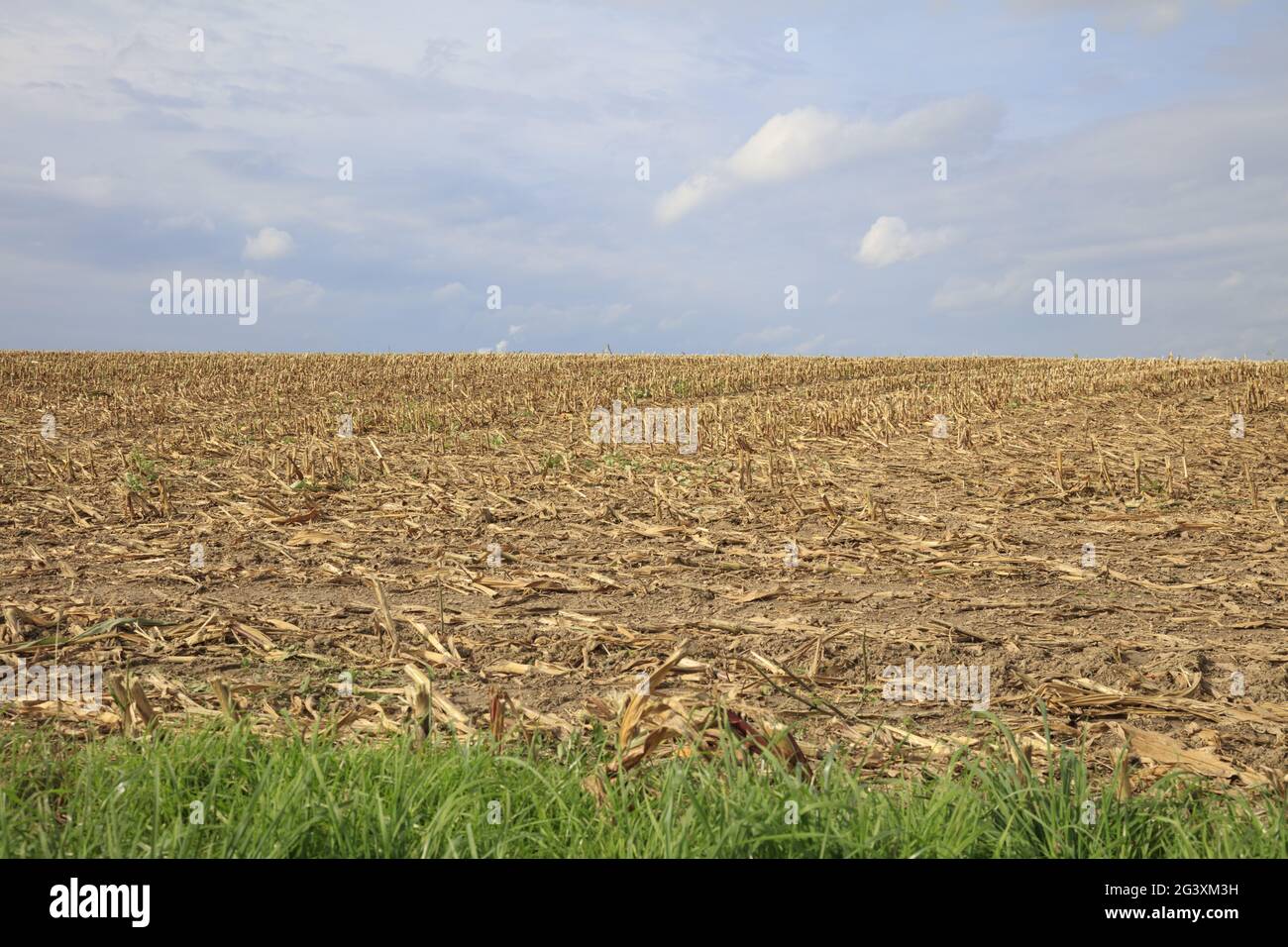 Cultivated stubble hi-res stock photography and images - Alamy
