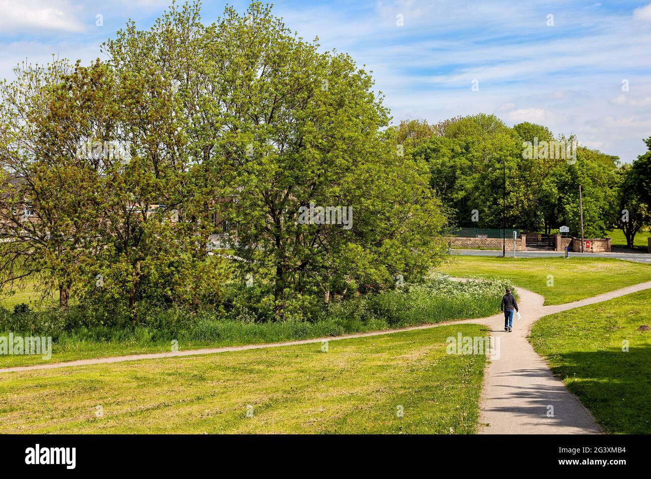 Spring park walking path hi-res stock photography and images - Alamy