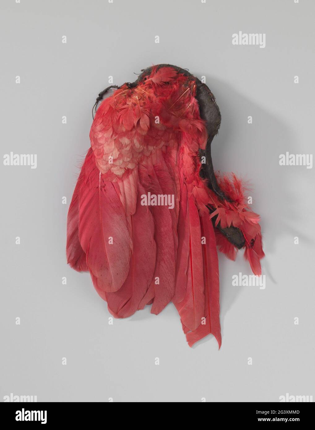 Hat feather from rose chicken wing. Hat feather from rose chicken wing ...