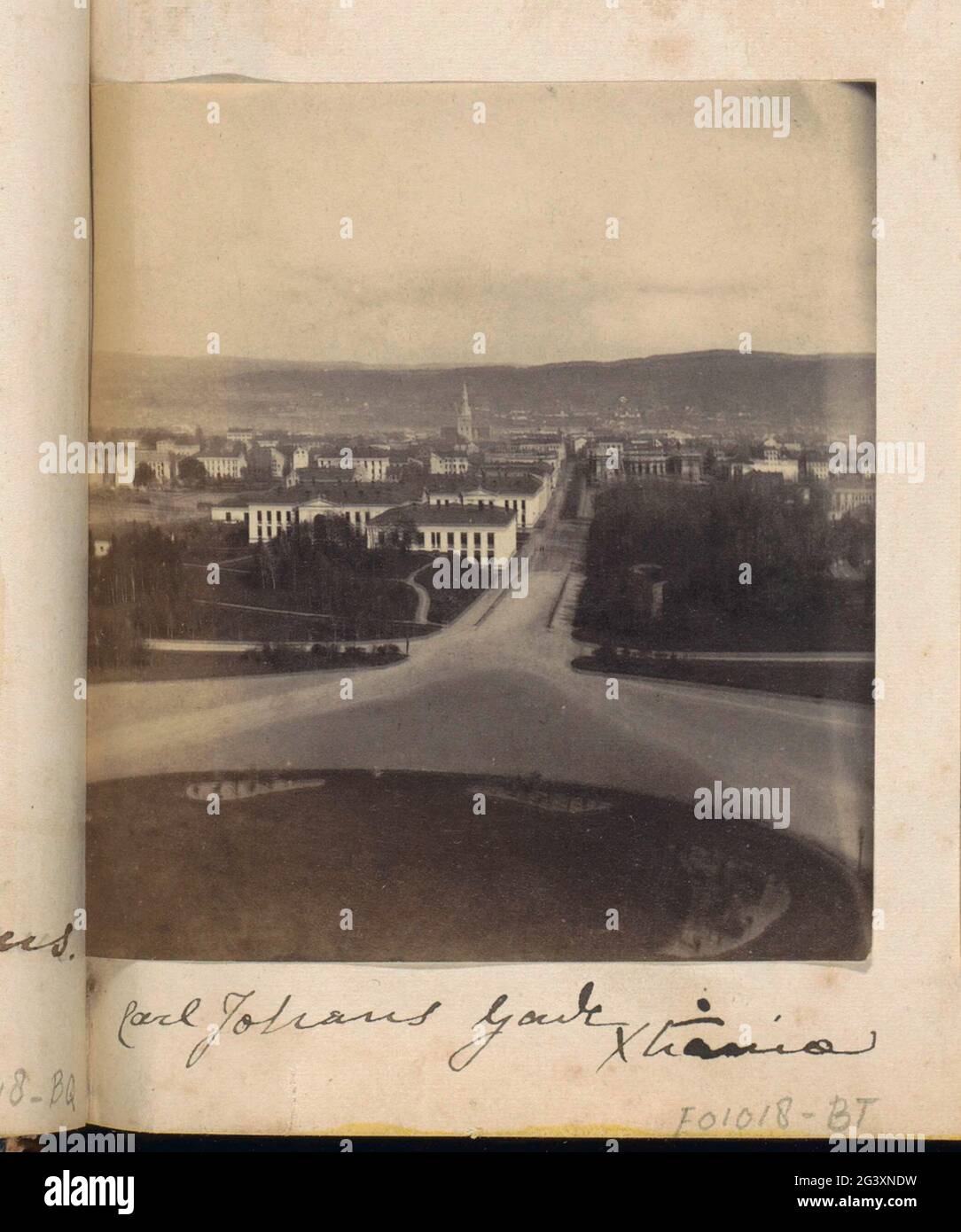 Cricket carl hi-res stock photography and images - Alamy