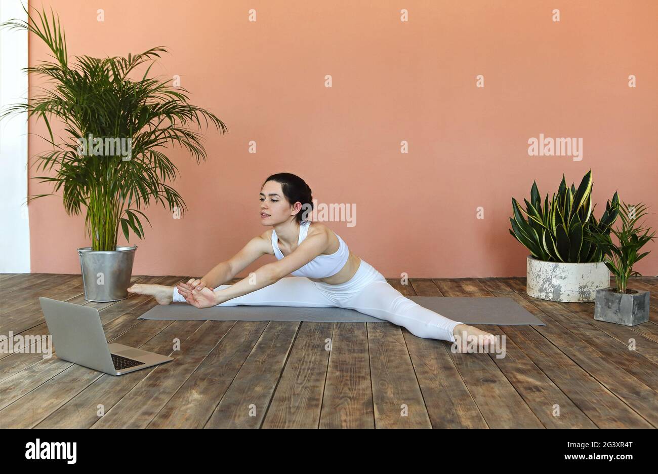 Online fitness session hi-res stock photography and images - Alamy