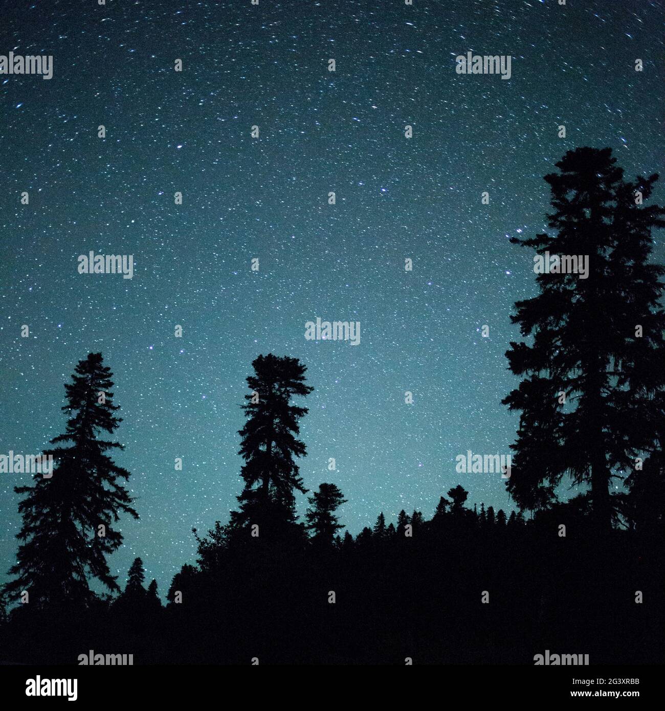 Northern Hemisphere Constellations Summer