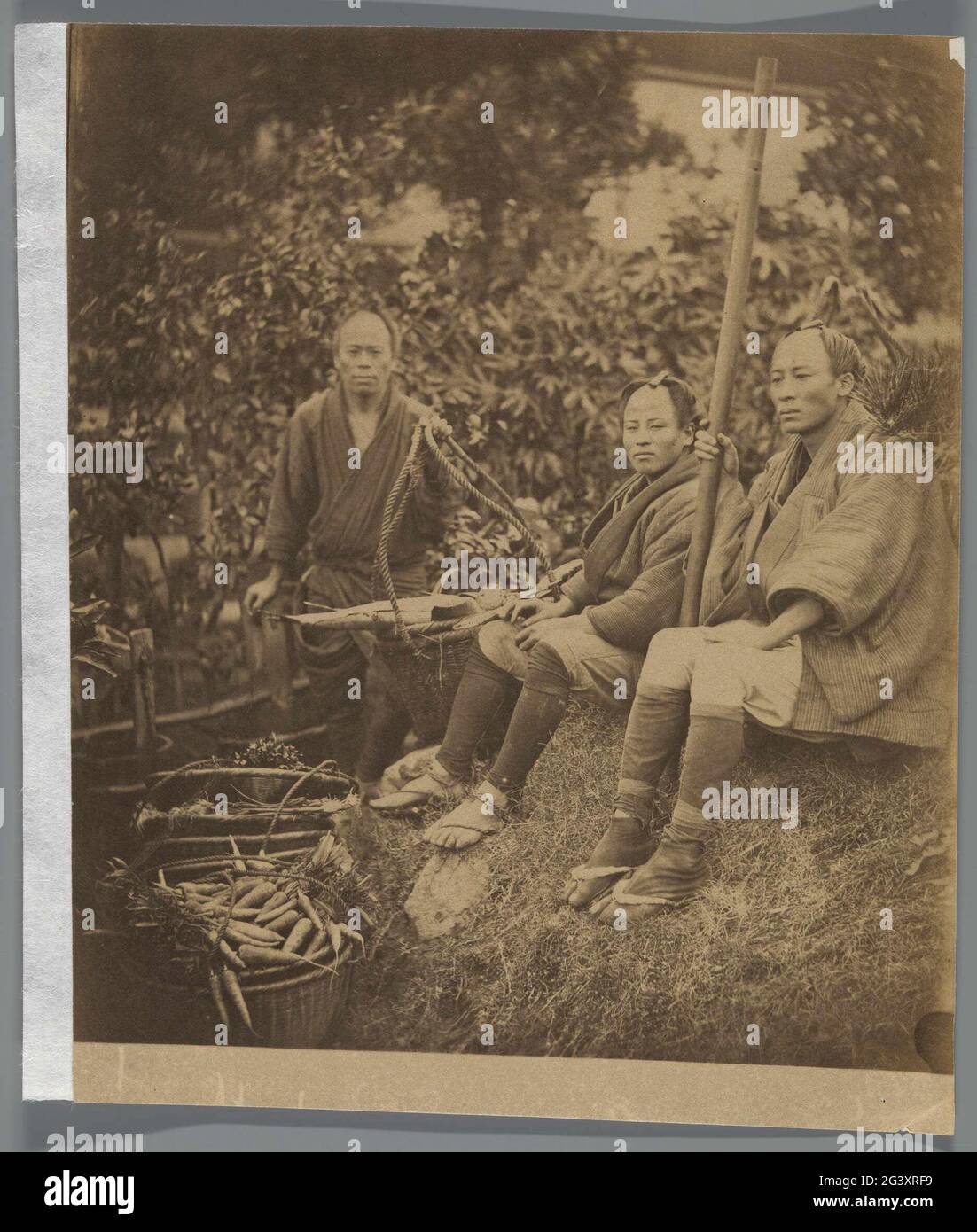 Three men around a basket with roots Stock Photo - Alamy