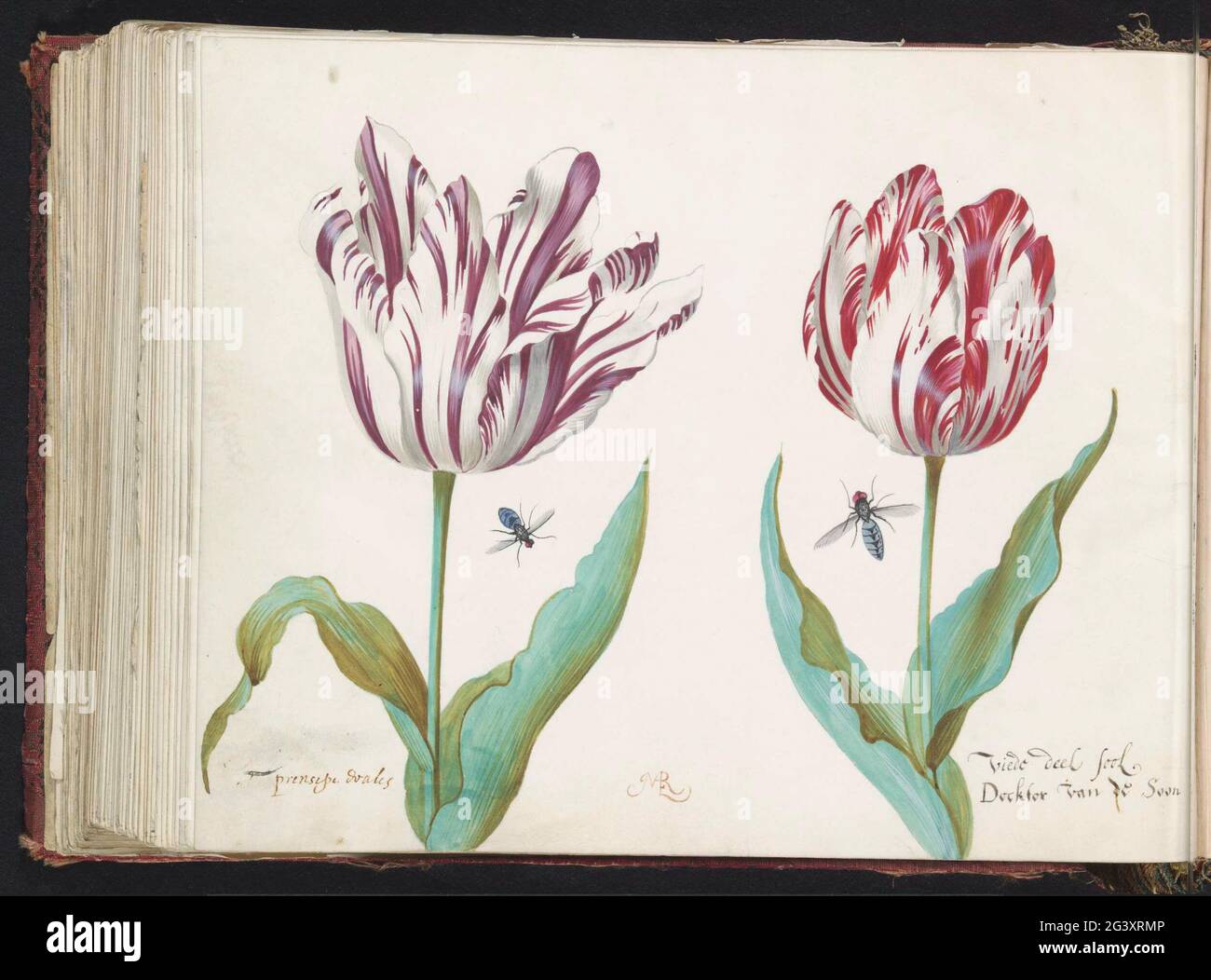 Docktor hi-res stock photography and images - Alamy