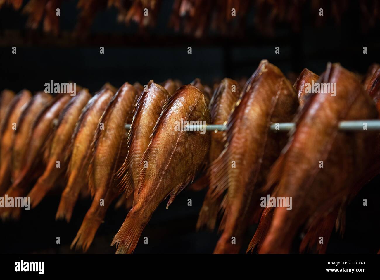 Cod production hi-res stock photography and images - Alamy