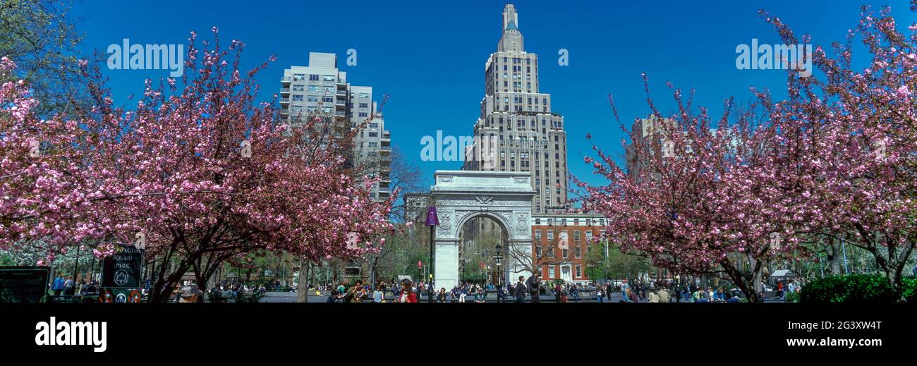 2006 HISTORICAL SPRINGTIME BLOSSOMS WASHINGTON SQUARE PARK GREENWICH ...