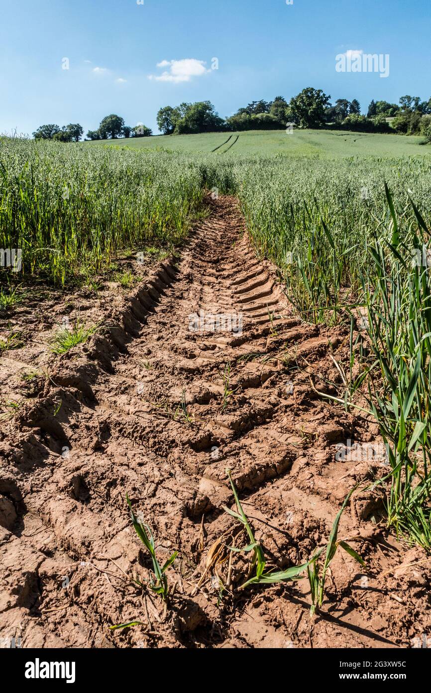 What Are Some Agricultural Issues