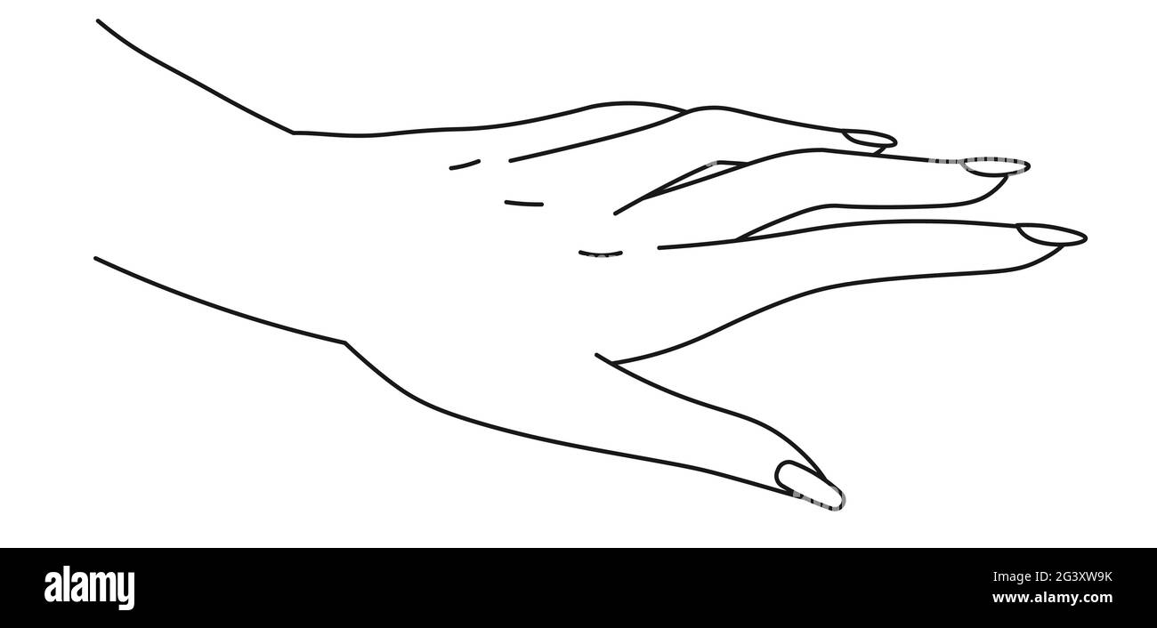 Hand long fingers palm Cut Out Stock Images & Pictures - Alamy