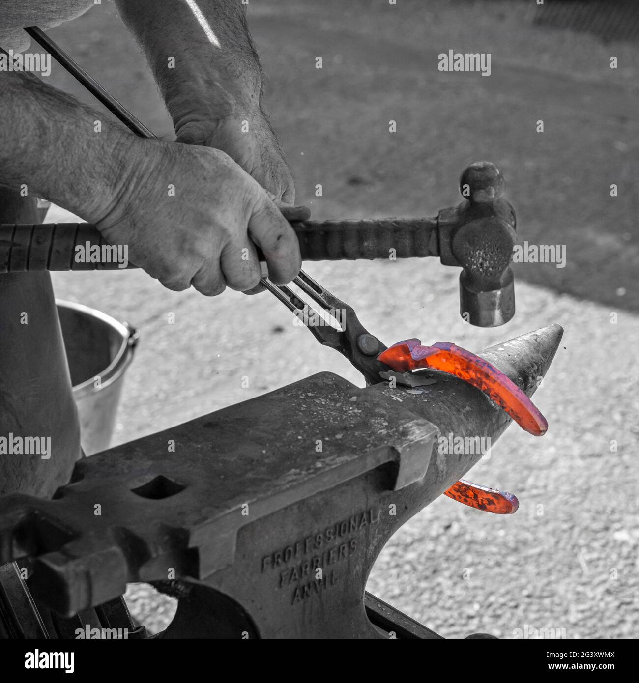 Farrier Anvil Shoes Clipart