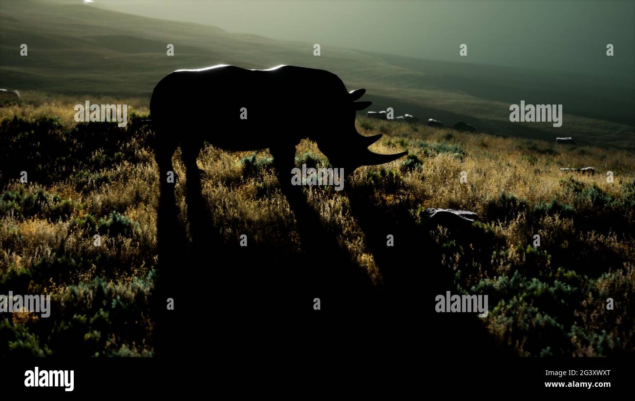 Kenya sunset rhino hi-res stock photography and images - Alamy