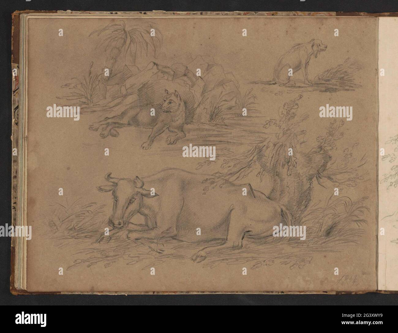 Dog, ox and a feline in different landscapes. Leaf 25 Verso from a ...