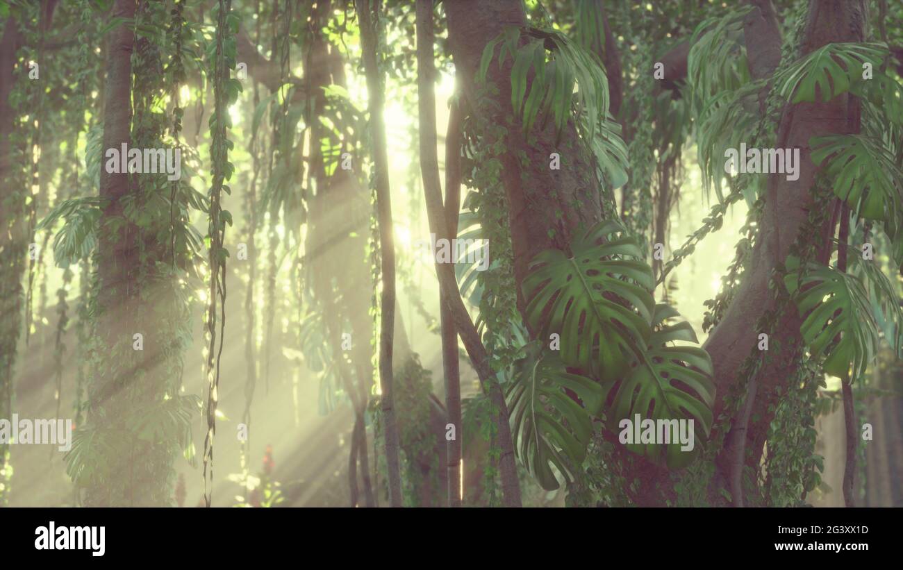 Deep tropical jungle rainforest in fog Stock Photo - Alamy