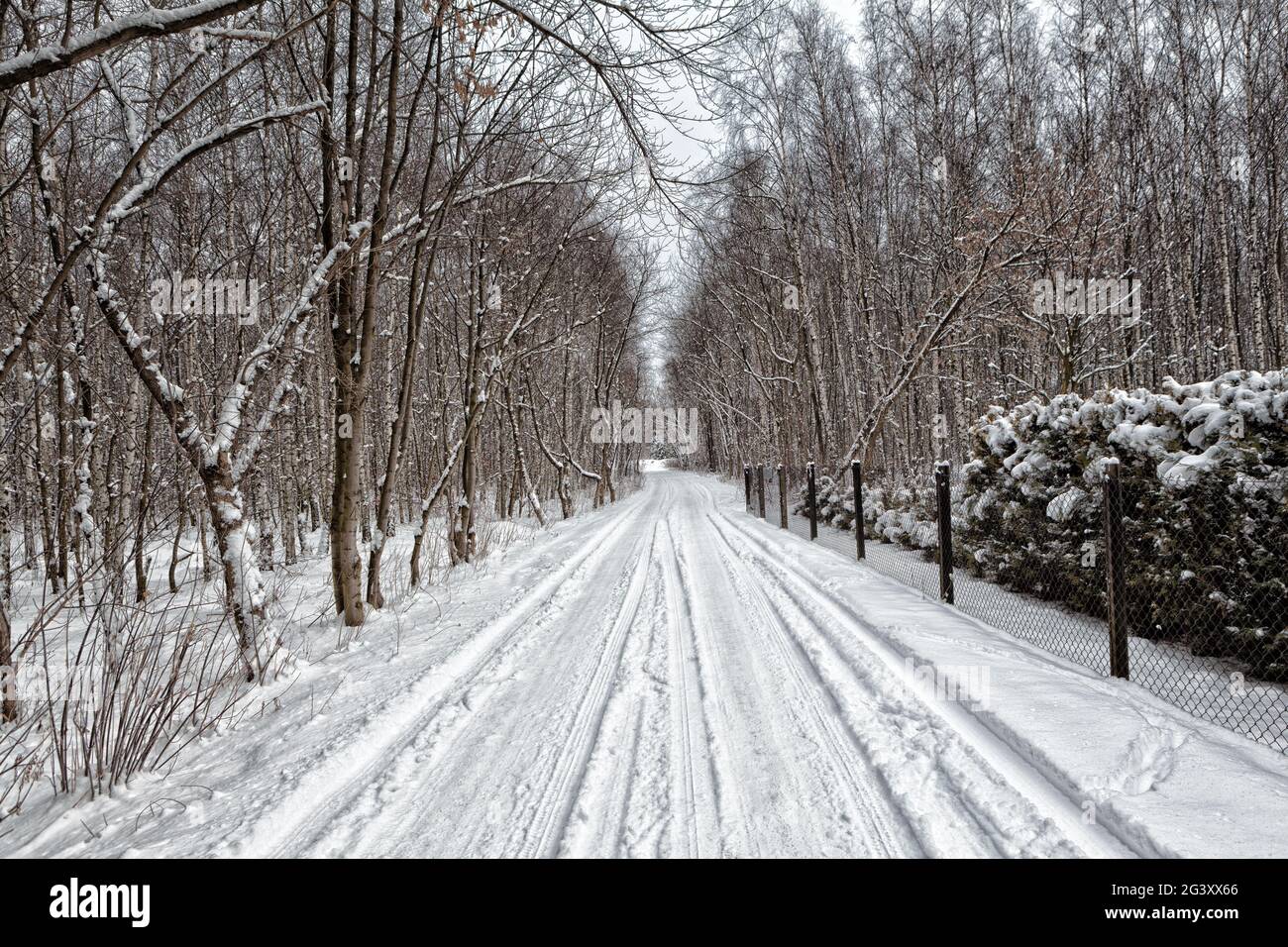 Winter snowy road Stock Photo - Alamy