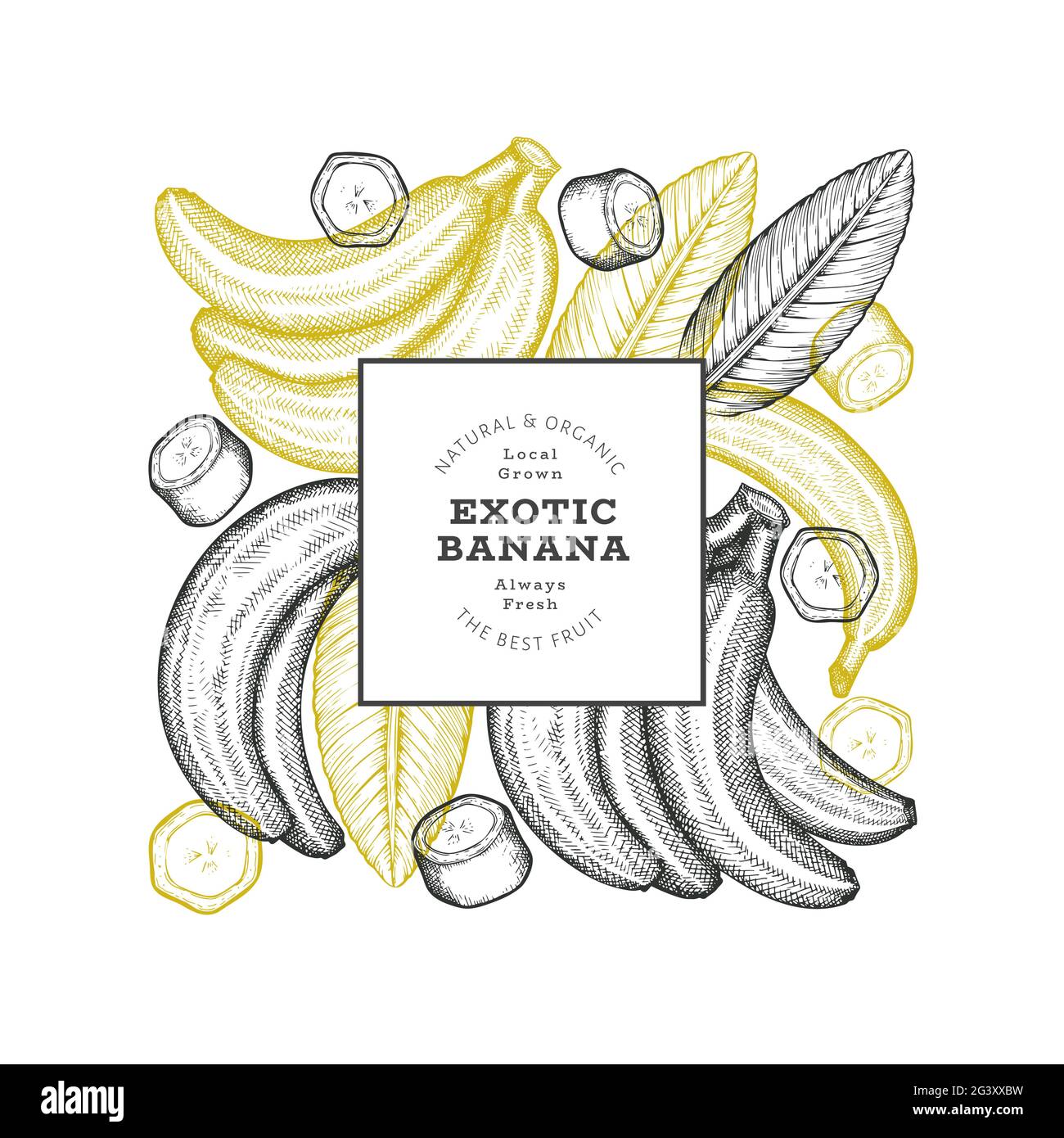 Hand drawn sketch style banana banner. Organic fresh fruit vector ...