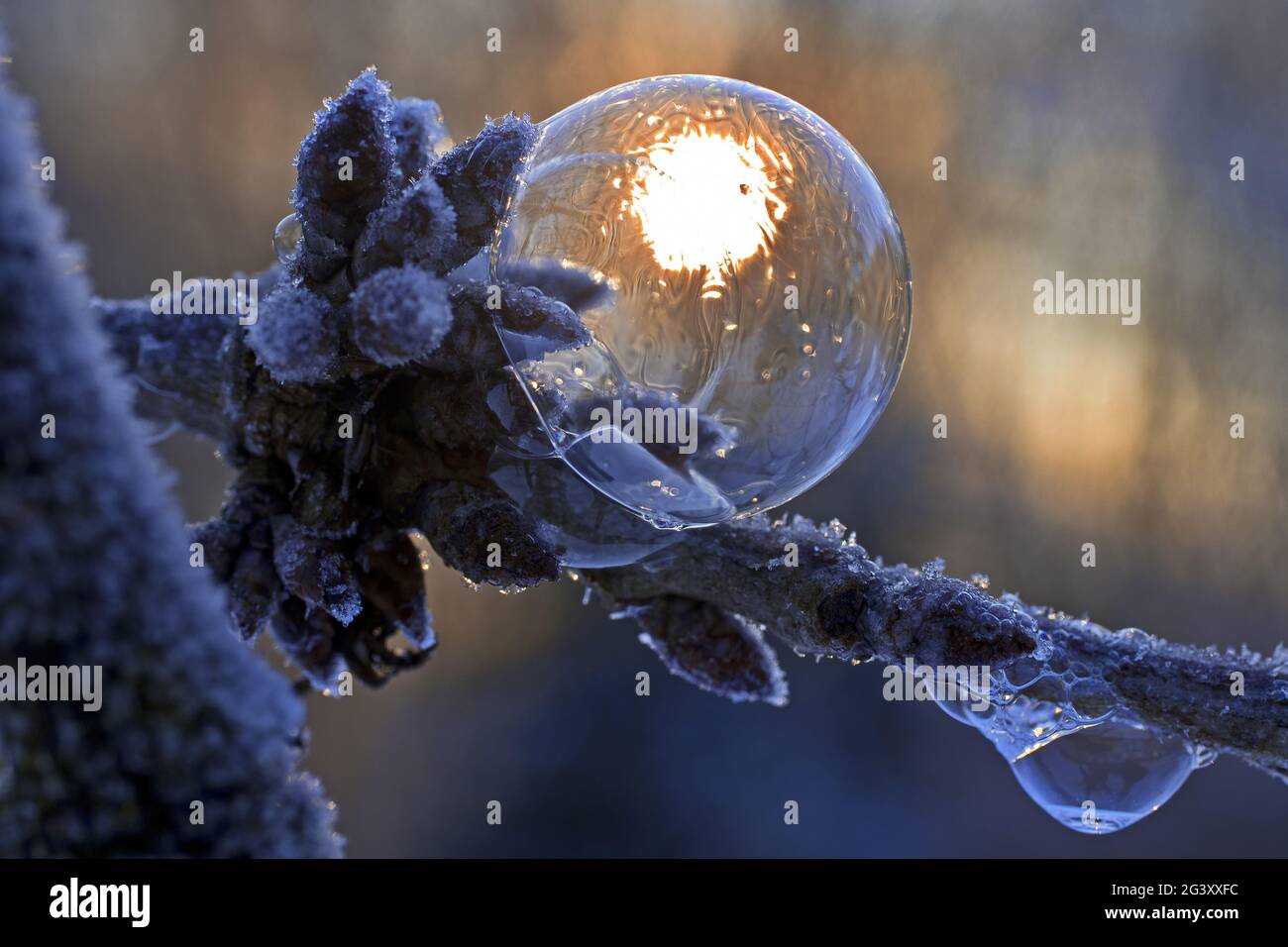 Freezing soap bubble with ice crystals and sun, Witten, North Rhine ...
