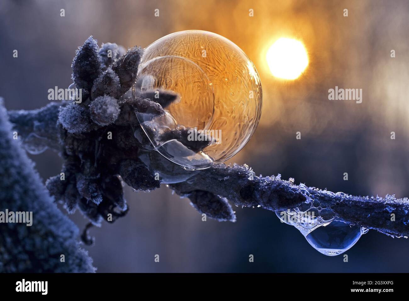 Freezing soap bubble with ice crystals and sun, Witten, North Rhine ...