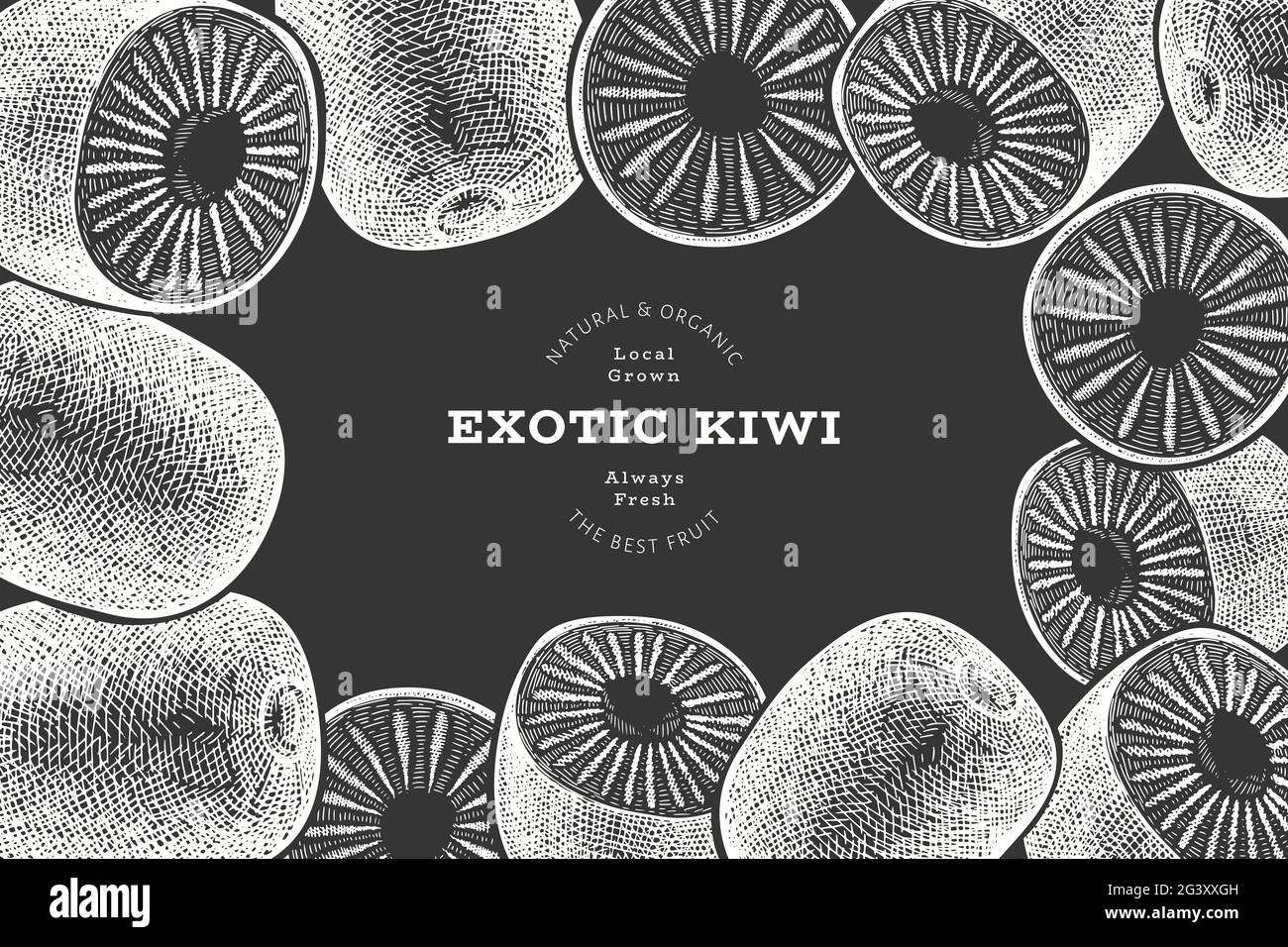 Hand drawn sketch style kiwi banner. Organic fresh fruit vector ...