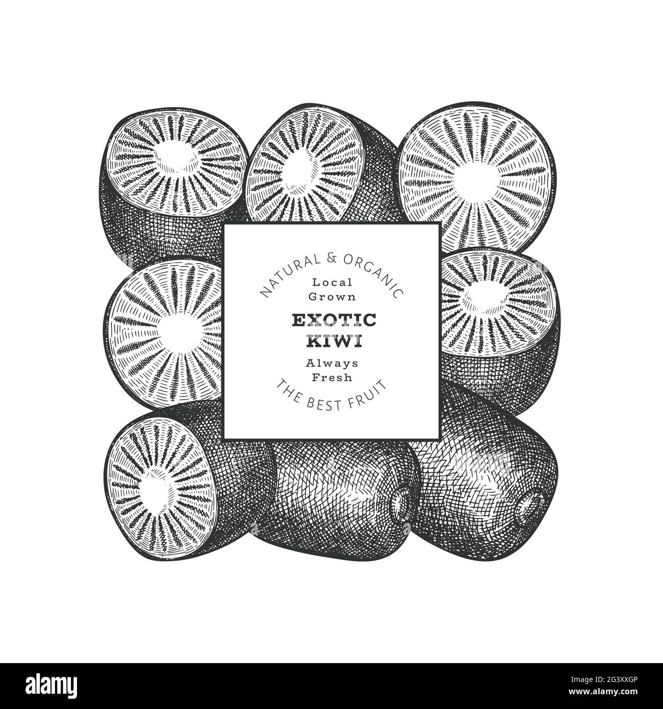 Hand drawn sketch style kiwi banner. Organic fresh fruit vector ...