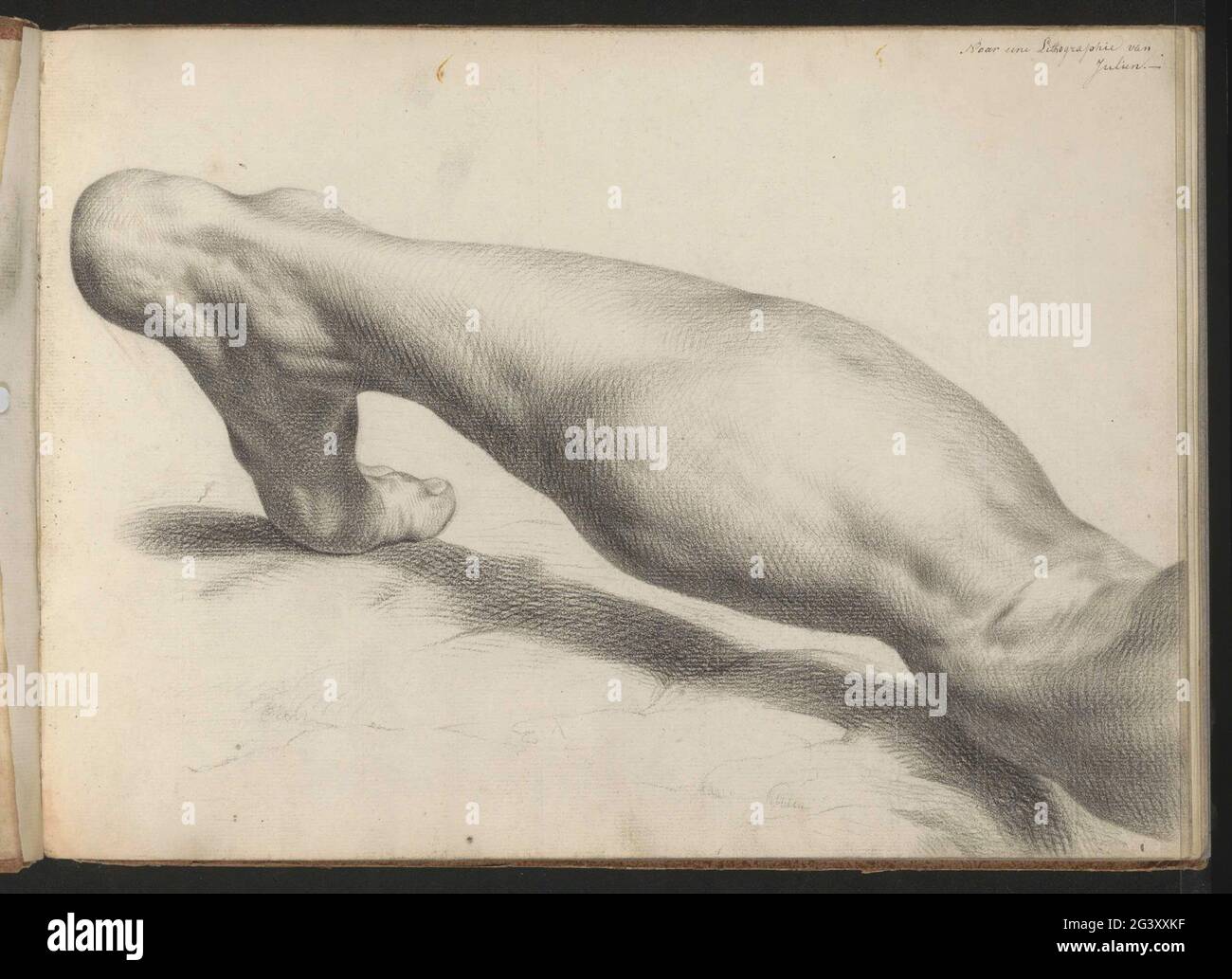 Lower leg. Leaf 1 Recto from a sketchbook with 24 sheets Stock Photo ...