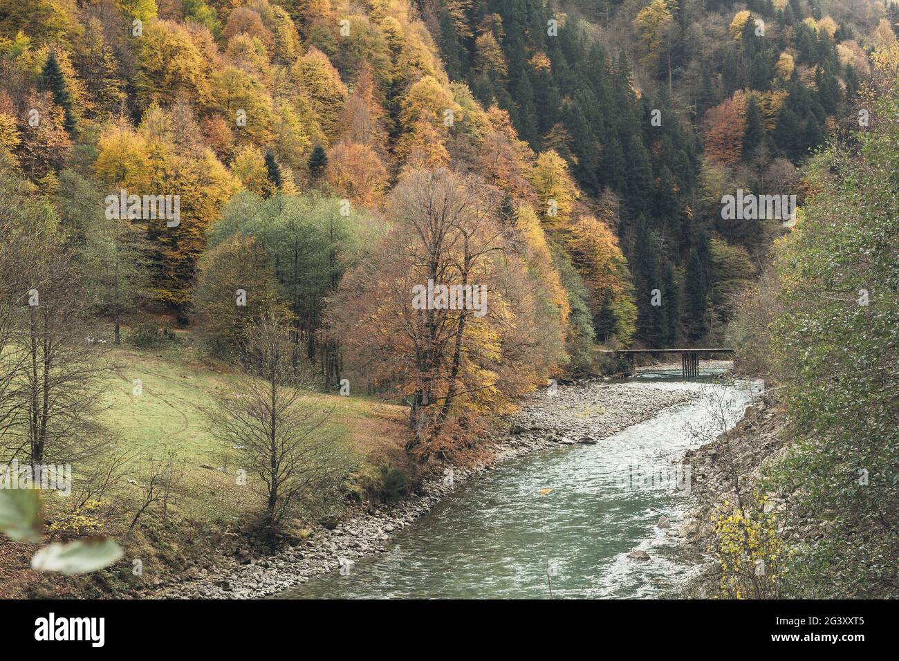 Stormy clean river in mountains. Crystal clear fresh river in highlands ...