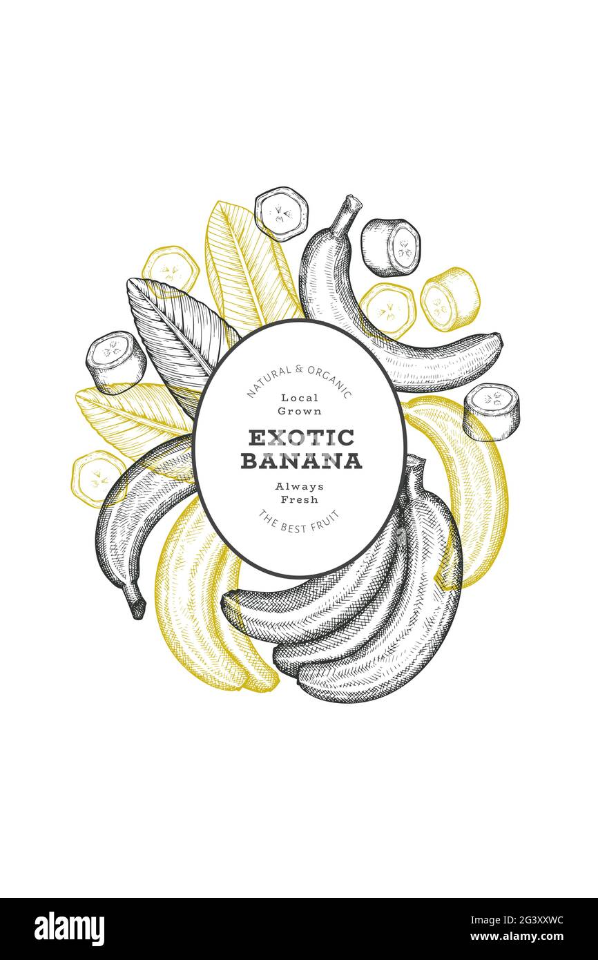 Hand drawn sketch style banana banner. Organic fresh fruit vector ...