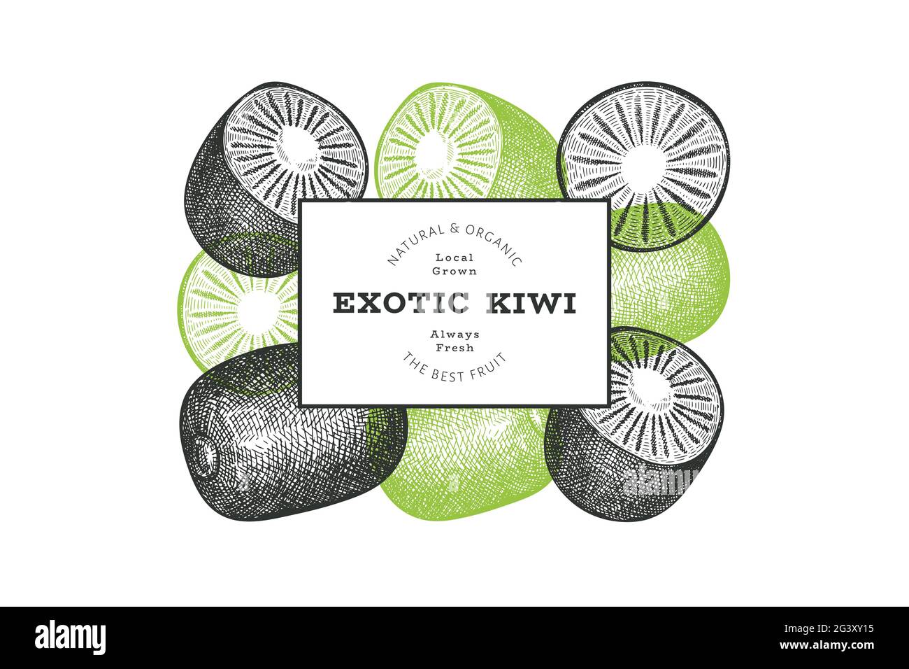 Hand drawn sketch style kiwi banner. Organic fresh fruit vector ...