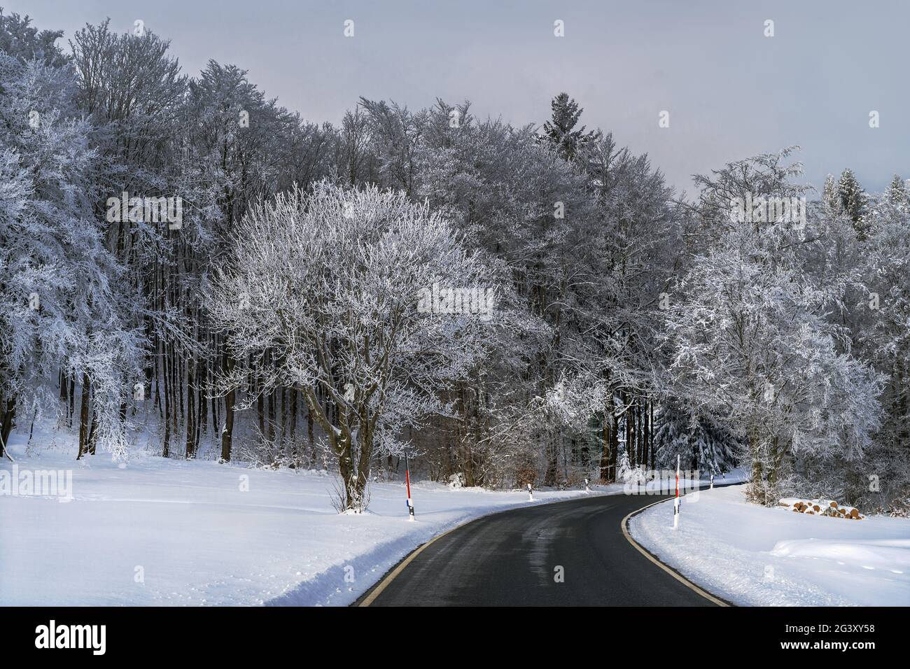 Country road through winter forest hi-res stock photography and images ...