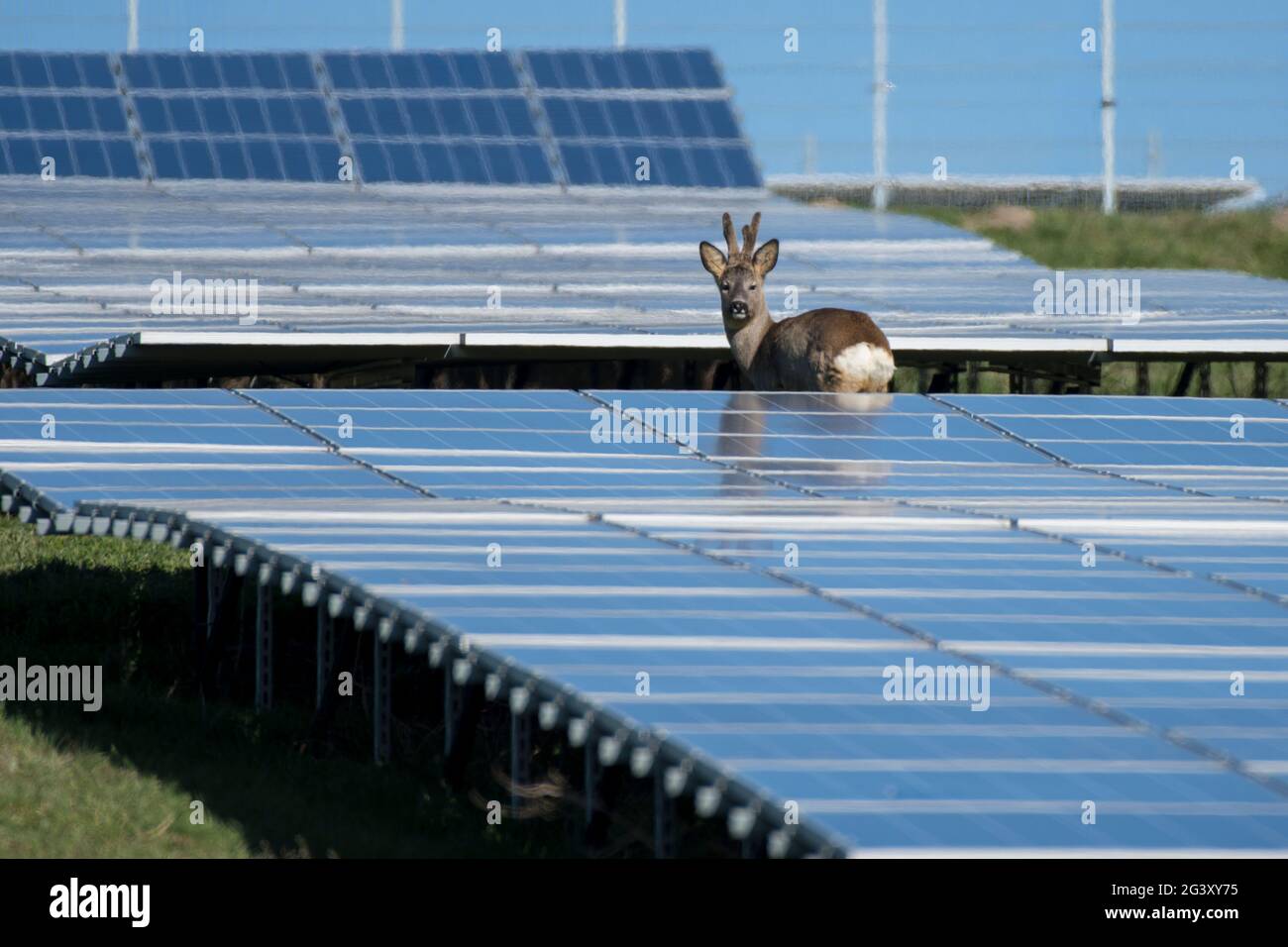Solar panel photos hi-res stock photography and images - Alamy