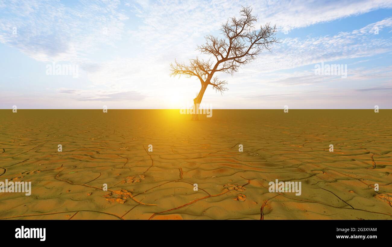 Concept or conceptual desert landscape with a parched tree as a ...