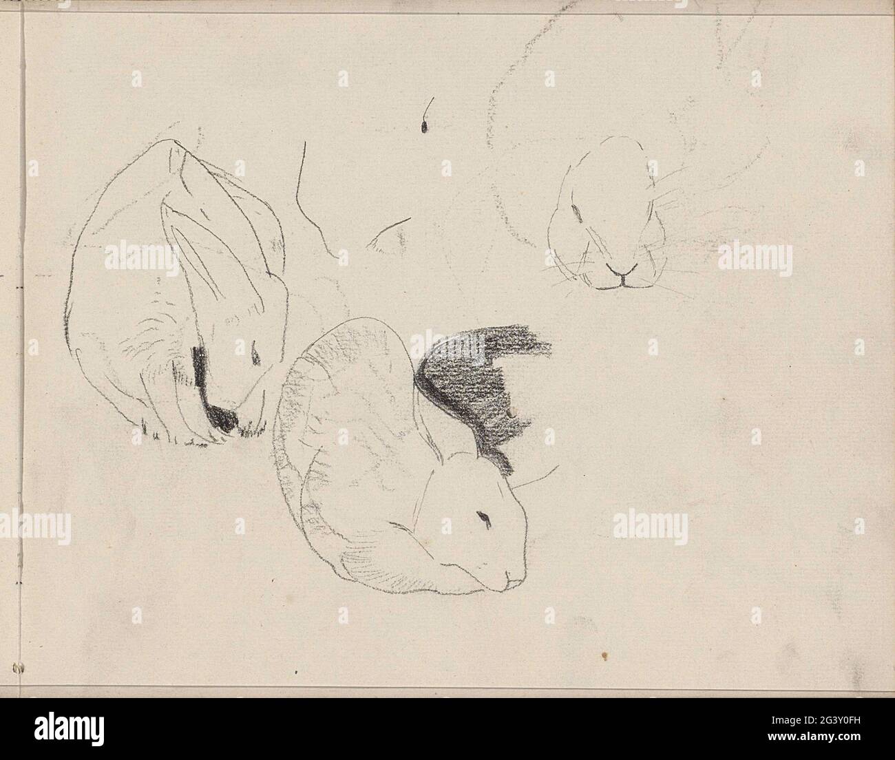 Rabbits. Leaf 20 Recto from a sketchbook with 44 sheets Stock Photo - Alamy