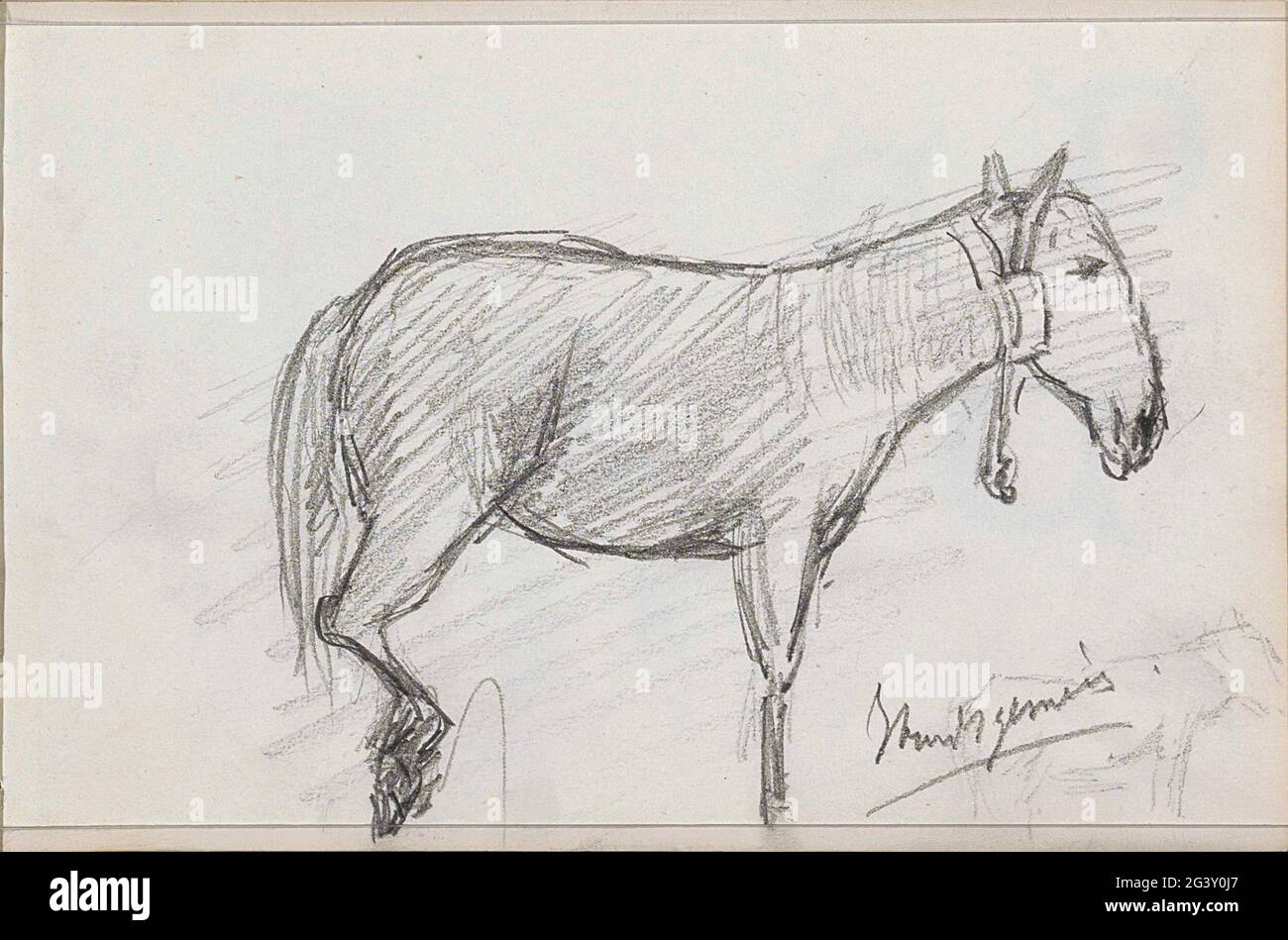 Horse. Leaf 11 Recto from a sketchbook with 29 sheets Stock Photo - Alamy