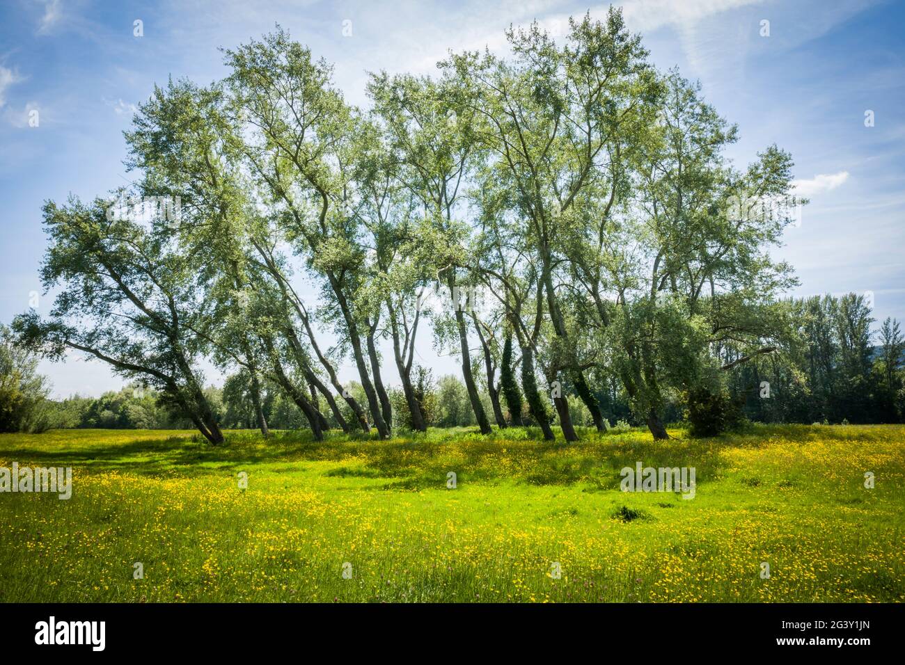 Castle Meadows, Abergavenny Stock Photo - Alamy