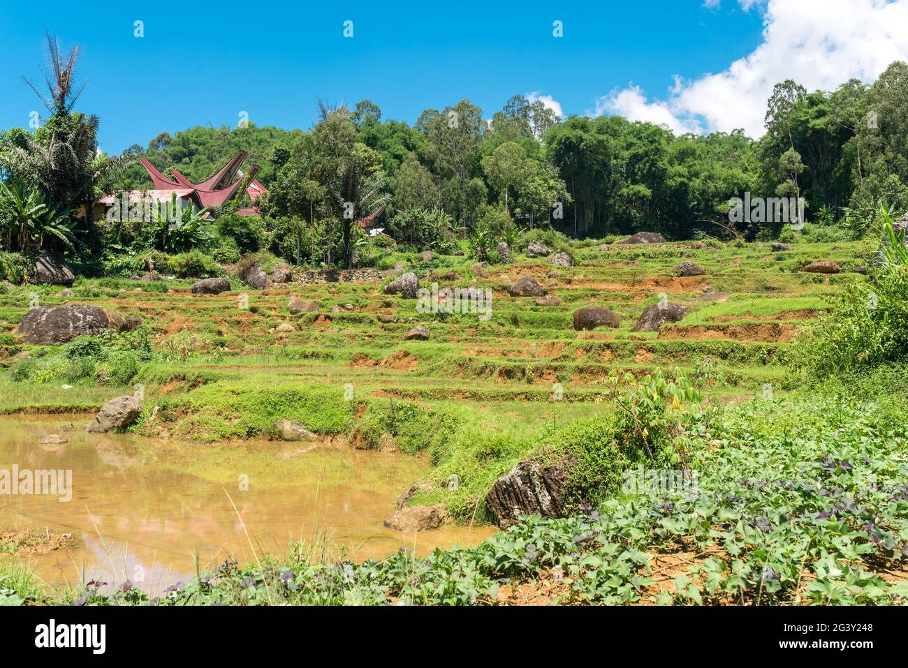 Landscape in Tana Toraja on Sulawesi Stock Photo - Alamy