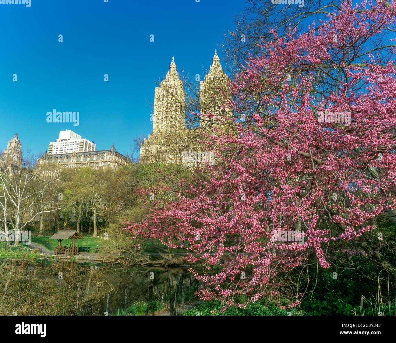 2006 HISTORICAL SPRING CENTRAL PARK WEST MANHATTAN NEW YORK CITY USA ...