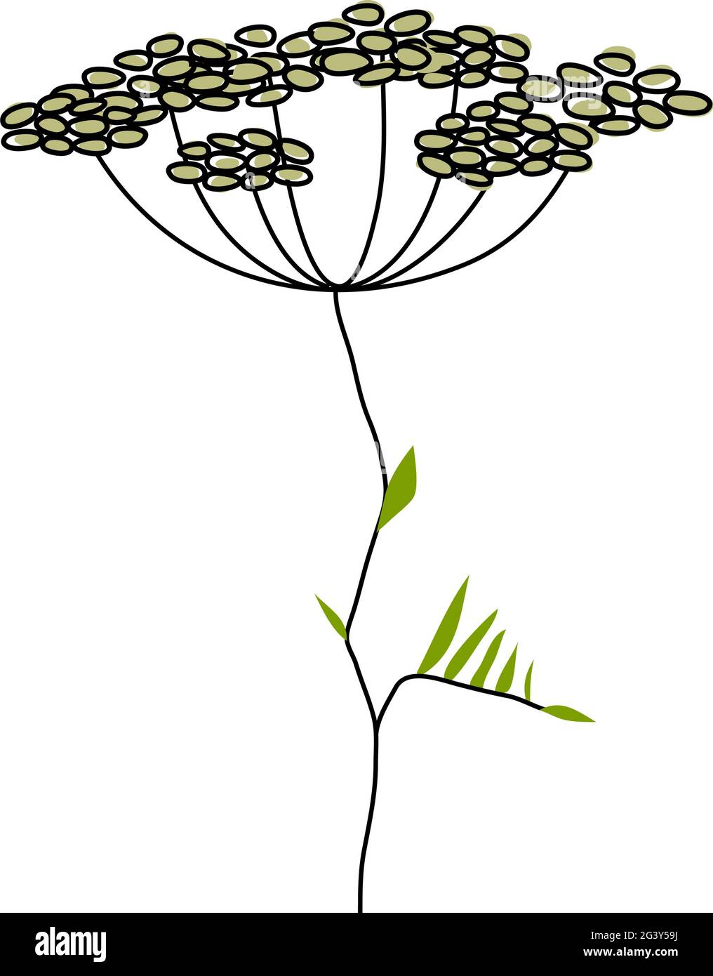 Doodle sketch flower with color fill. Simple design suitable for making ...