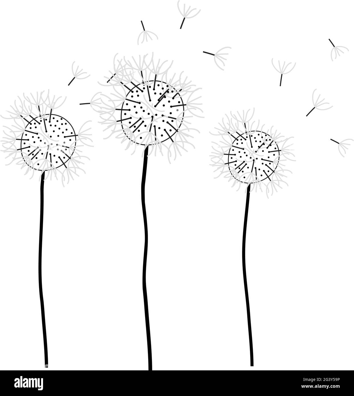 Dandelion Tattoo Design Illustrations