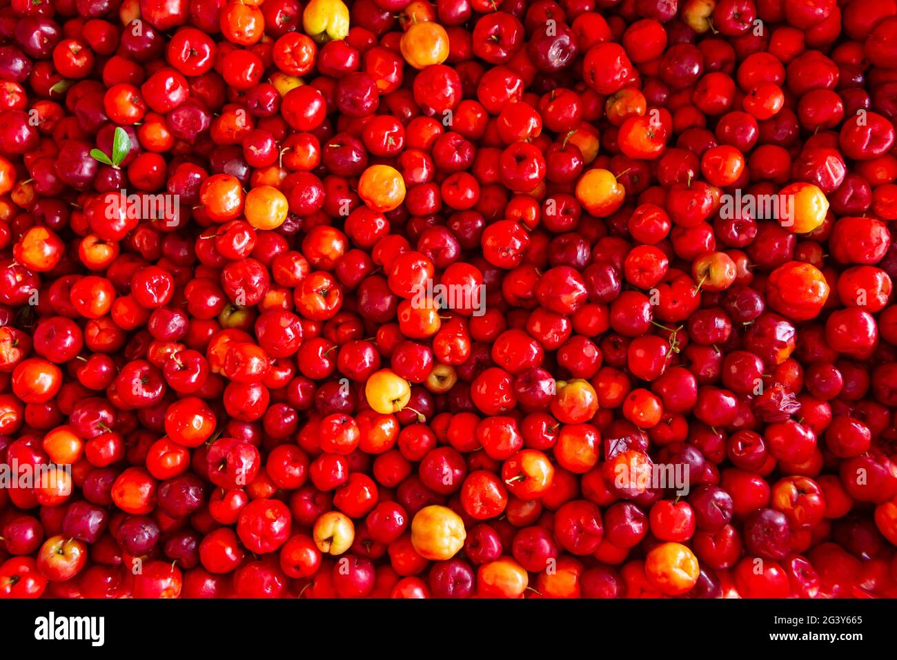 West indian fruits hi-res stock photography and images - Alamy
