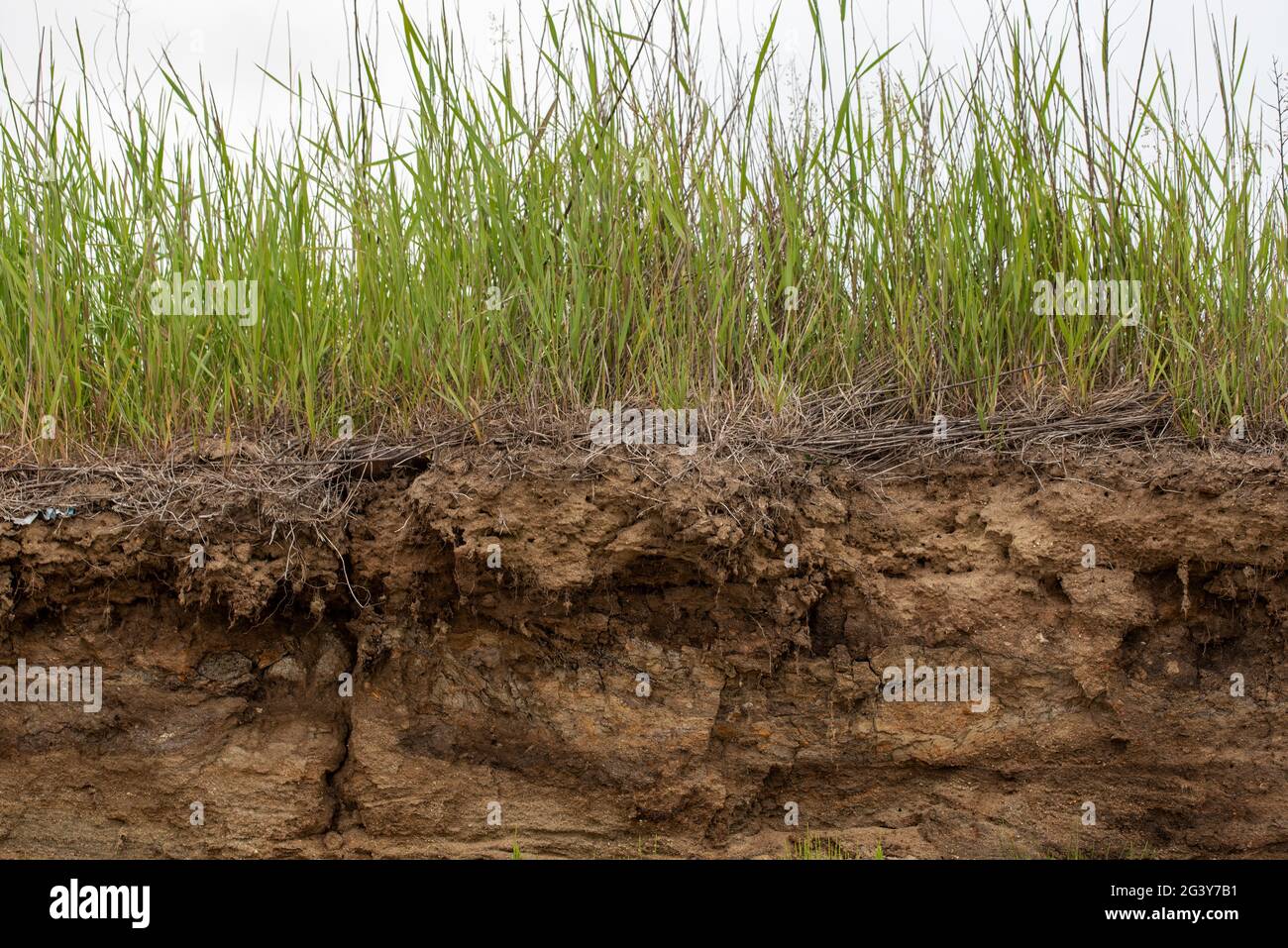 Soil cut due to landslide. Natural cut of soil with different layaers ...