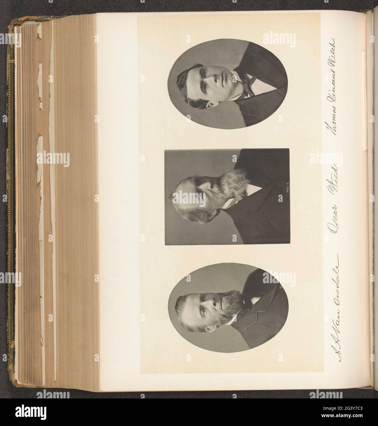Portraits of three members of the Lower House of the state of New York ...