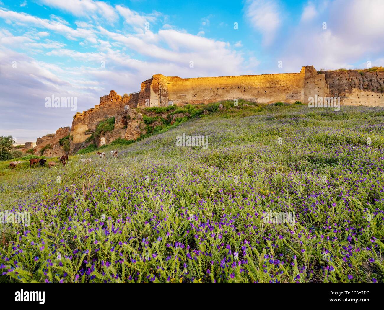 Fez meknes region hi-res stock photography and images - Alamy