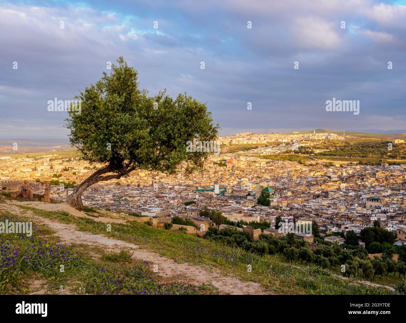 Old Medina in Fes, elevated view, Fez-Meknes Region, Morocco Stock ...