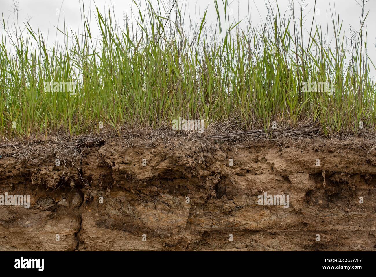 Soil cut due to landslide. Natural cut of soil with different layaers ...