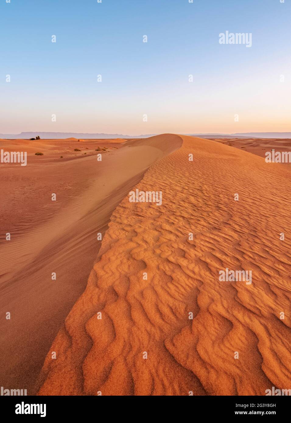Zagora Desert at sunrise, Draa-Tafilalet Region, Morocco Stock Photo ...
