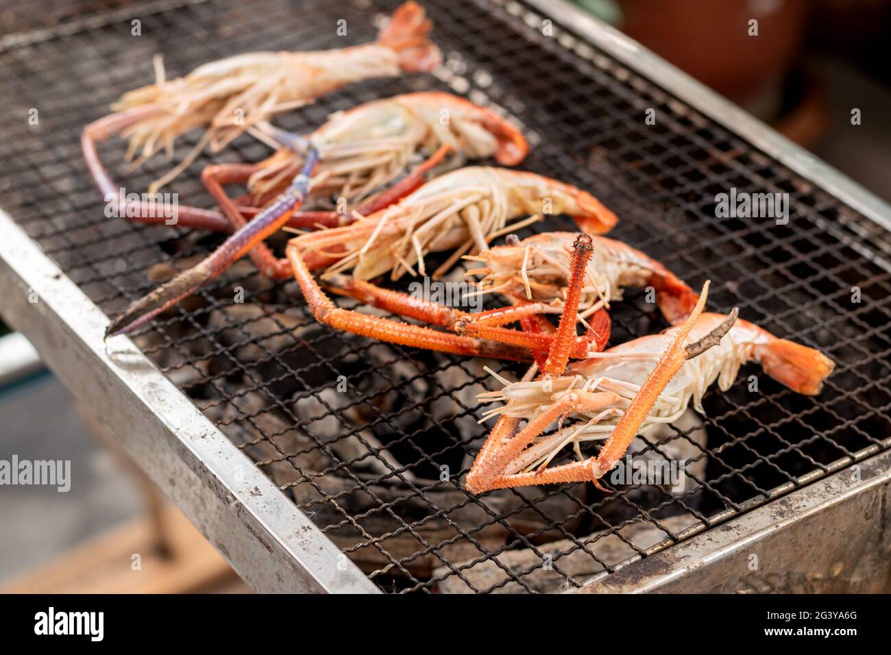 Closeup some river prawns grilled on the iron rack over the charcoal ...