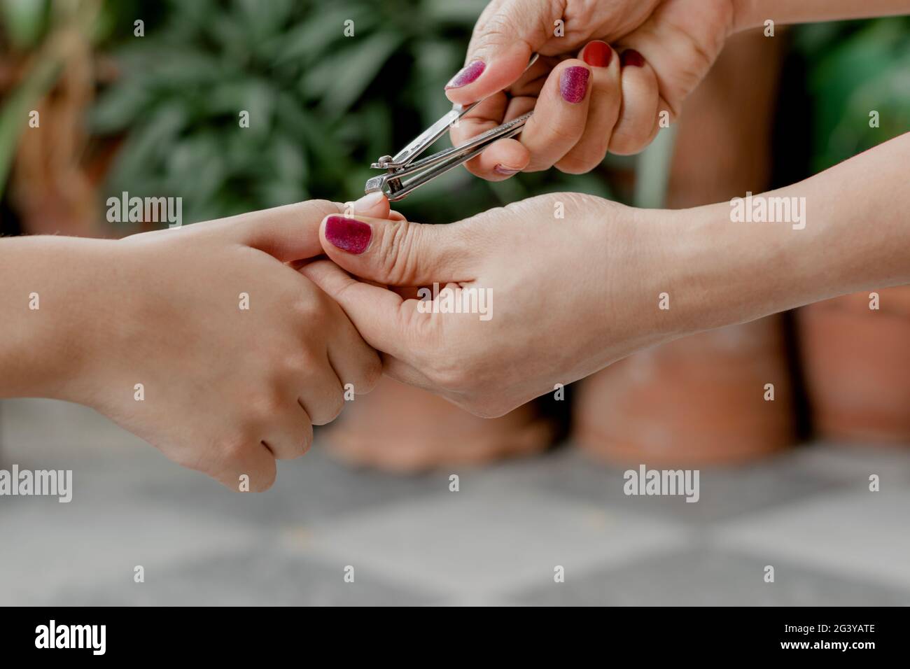 Closeup a woman's hand is using a nail clipper to cut a boy's ...