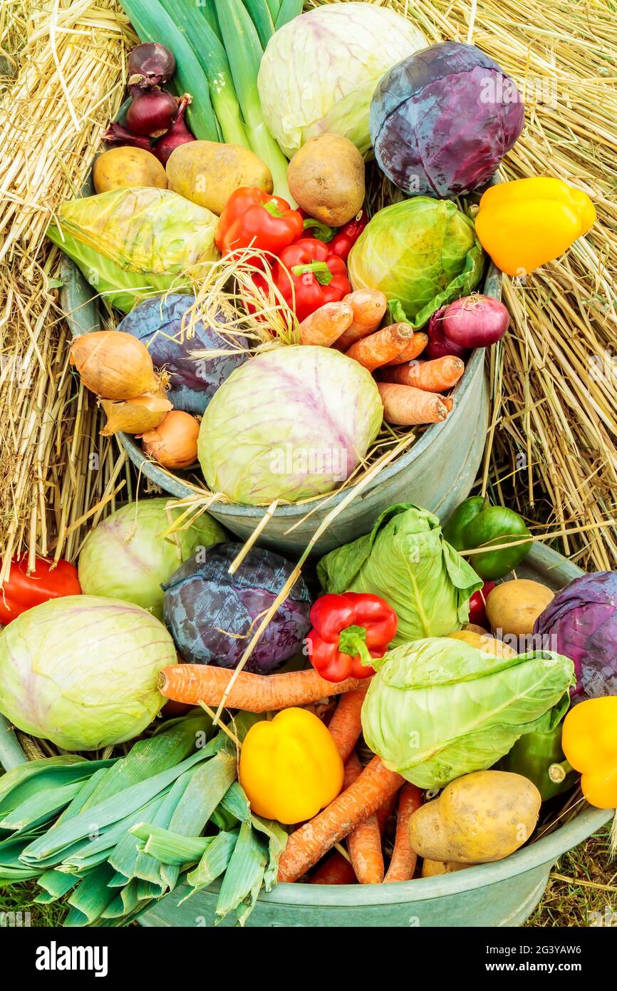 Two buckets with organic fresh vegetables on hay Stock Photo - Alamy