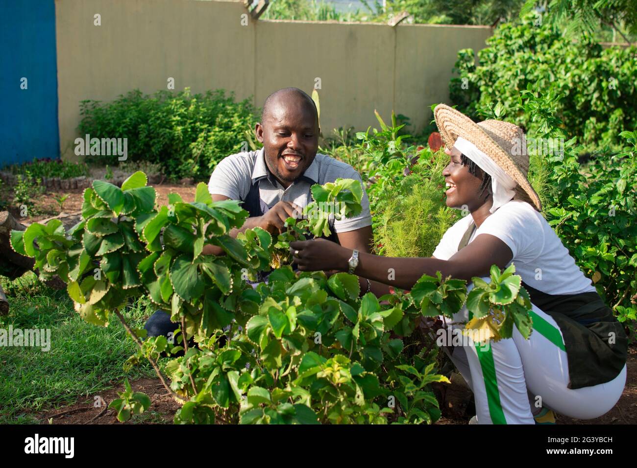 African greenhouse hi-res stock photography and images - Alamy