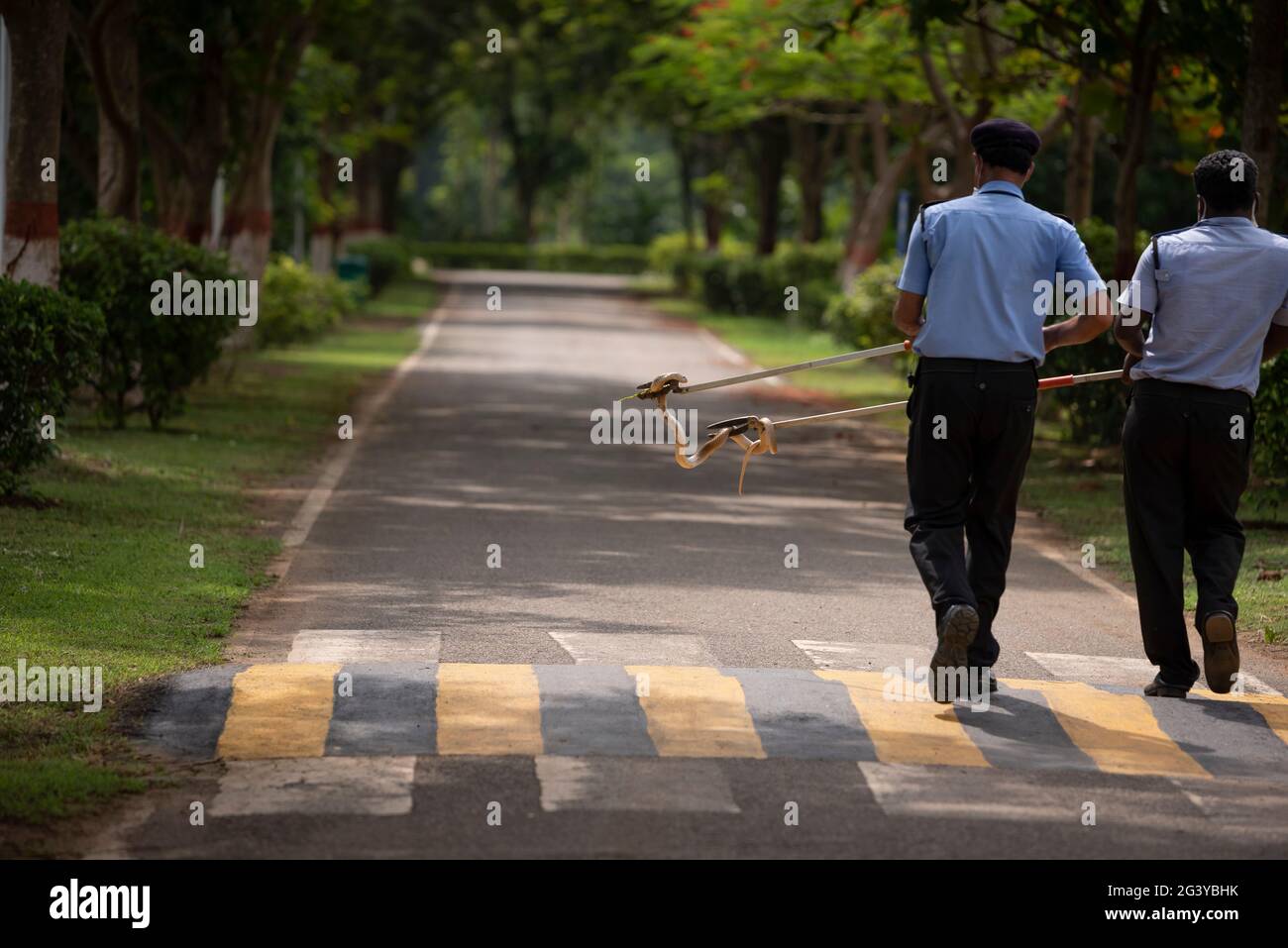 Cobra tail hi-res stock photography and images - Alamy