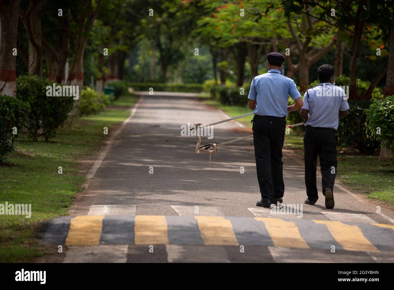 Cobra tail hi-res stock photography and images - Alamy