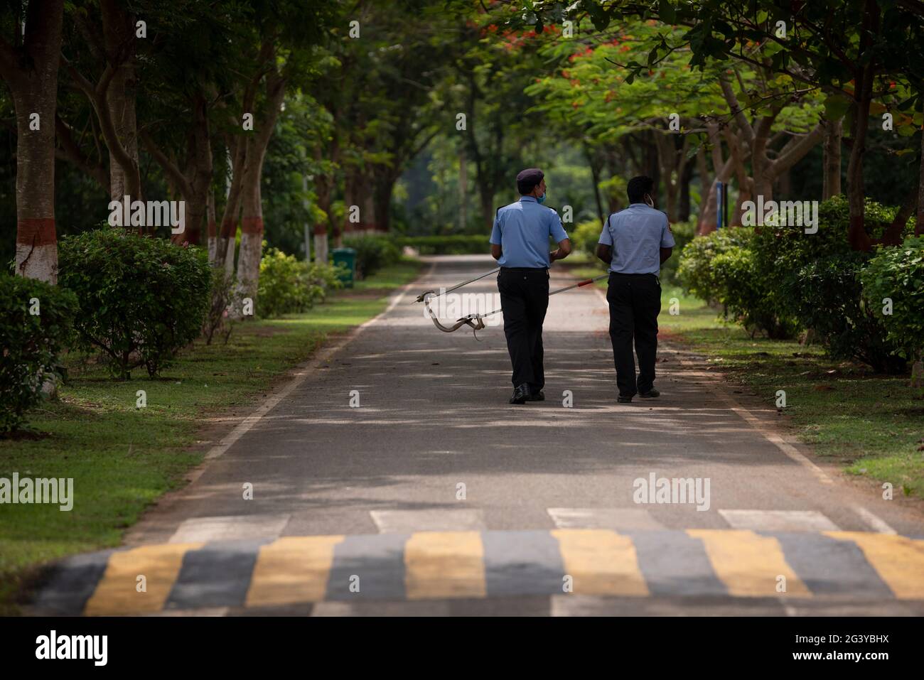 Cobra tail hi-res stock photography and images - Alamy